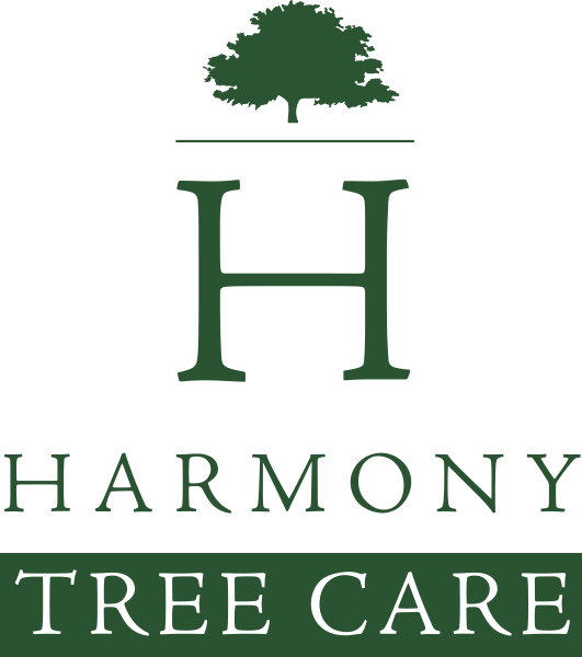 Harmony Tree Care - Tree Service Company | Bernardsville NJ